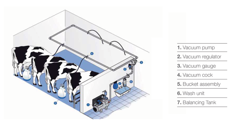 Milking Solutions – Milk Diamond